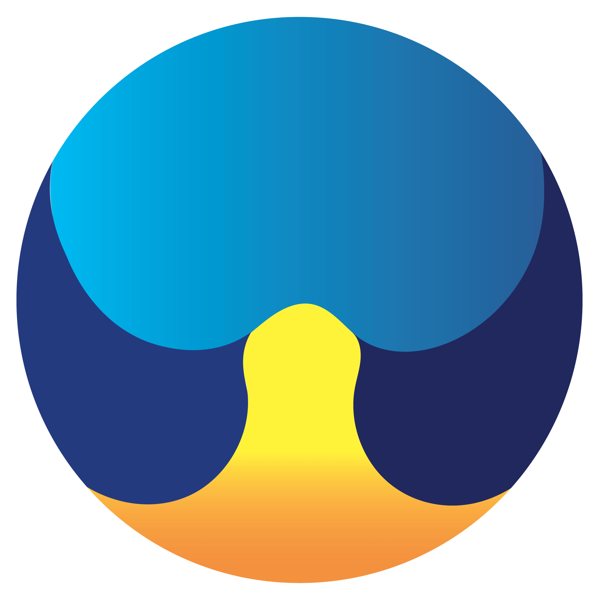 Your Digital Solutions Partner | Web Analytics | eCommerce | Software Development Services ...