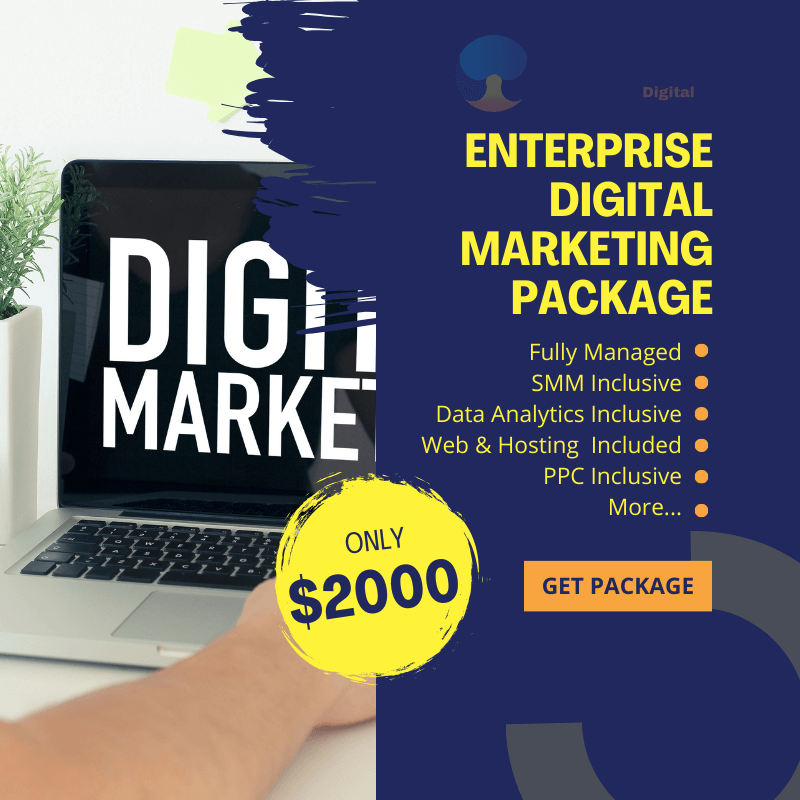 Enterprise Digital Marketing Services Package - TECHenya